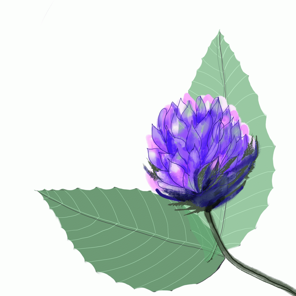 Babchi - Naturally Speaking